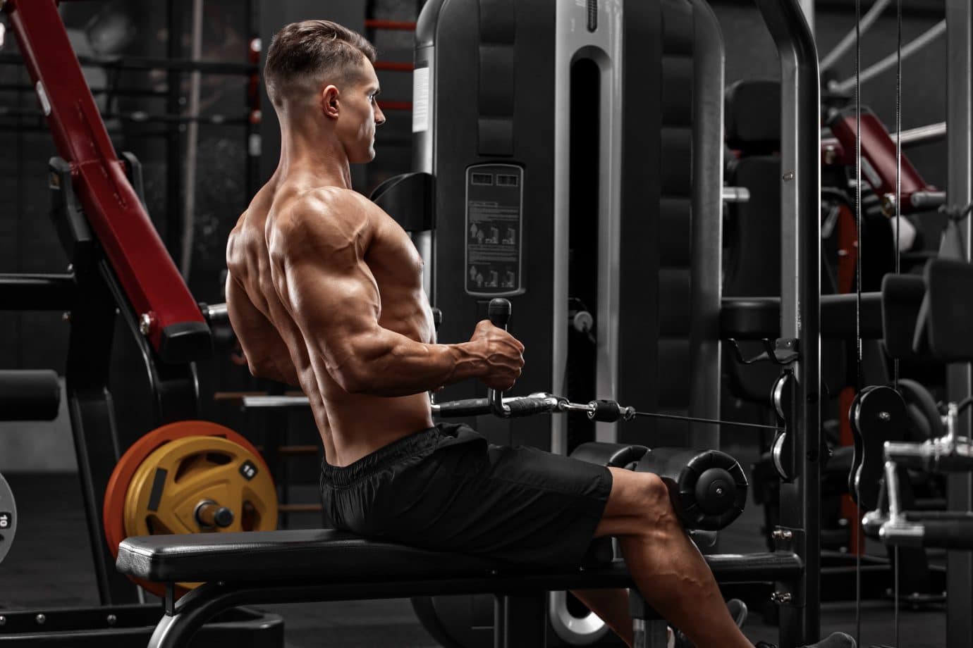 Row Variations: 12 Exercises To Build Strong Back Muscles - BetterMe
