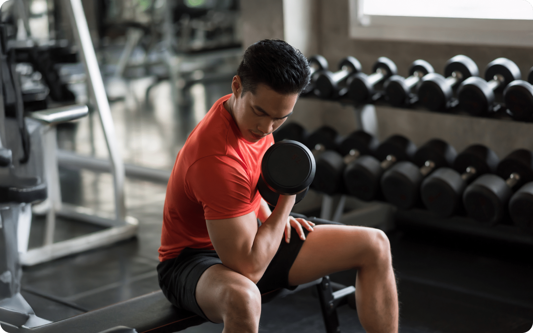 Forearm Workout Guide: 6 Exercises, Equipment Breakdown, and Training ...