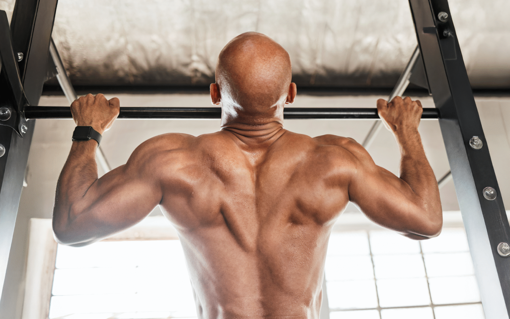 Chest and Back Workout Plan: Complete Guide for Beginners with Answers ...